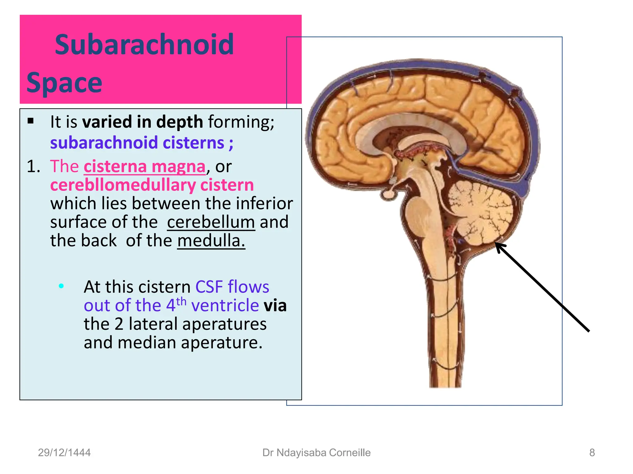 Cerebral Spinal Fluid (csf) AND VENTRICLES | PDF