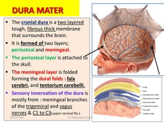 Cerebral Spinal Fluid (csf) AND VENTRICLES | PDF | Death, Injury, or ...