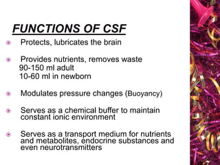 CSF & BBB.pptx | Free Download