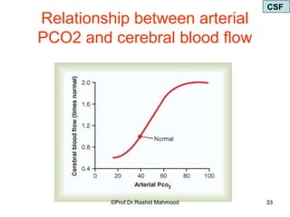 Cerebrospinal Fluid | PPT