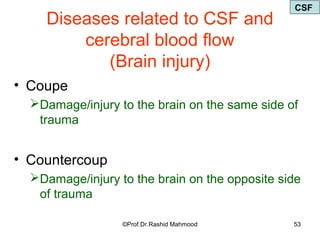 Cerebrospinal Fluid | PPT