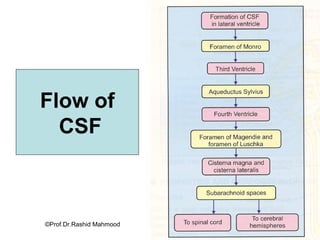 Circulation Of Cerebrospinal Fluid Flow Chart