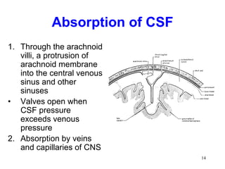 Cerebrospinal Fluid Blood Brain Barrier.ppt