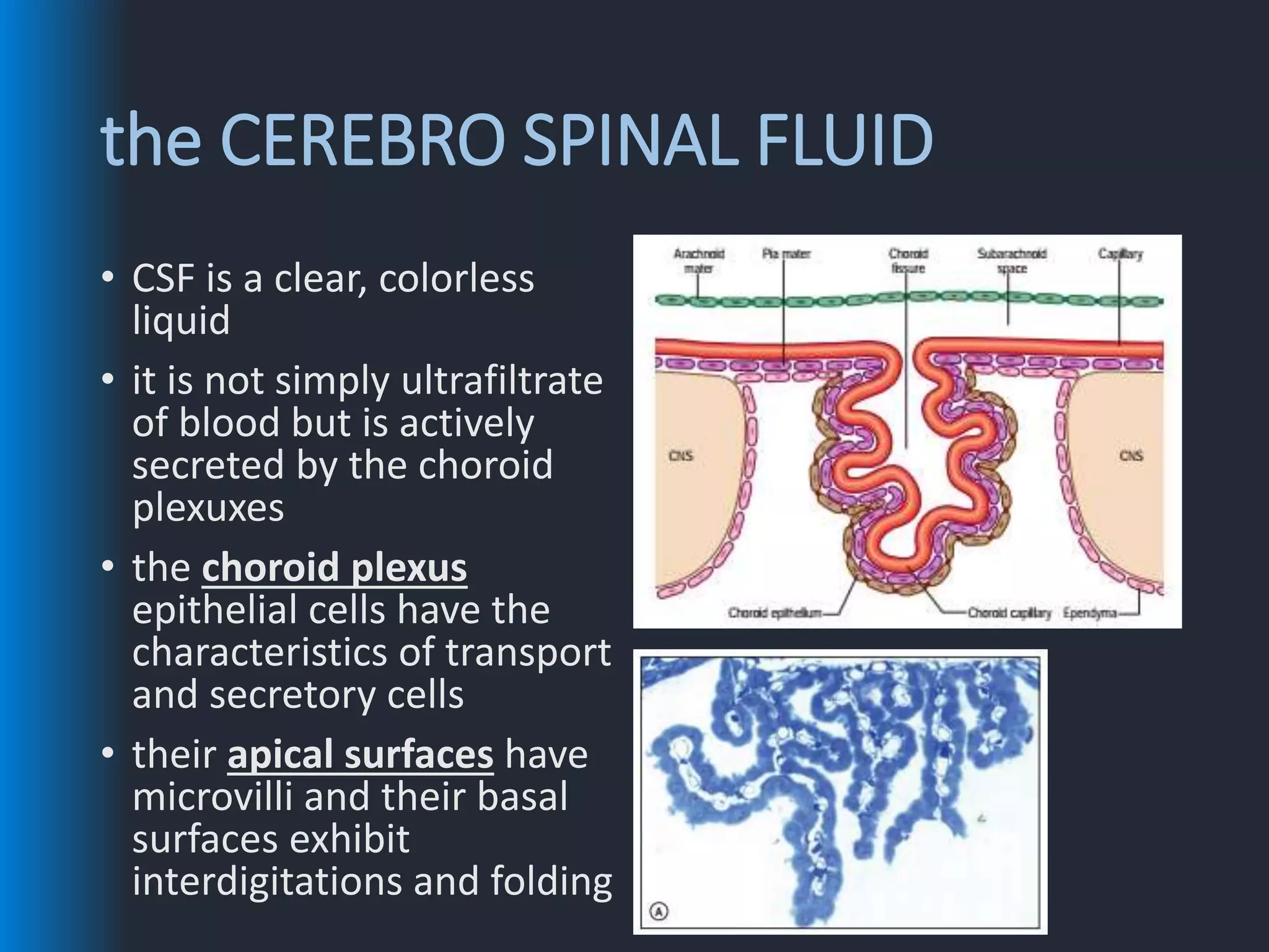 Csf circulation | PPTX