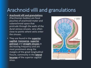 Arachnoid Villi