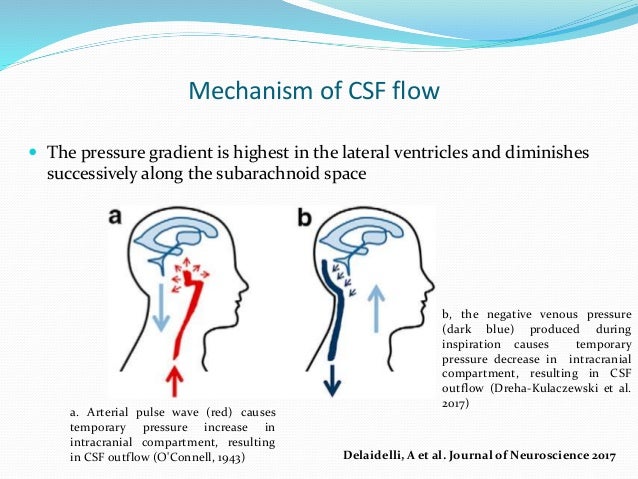 CSF circulation disorders