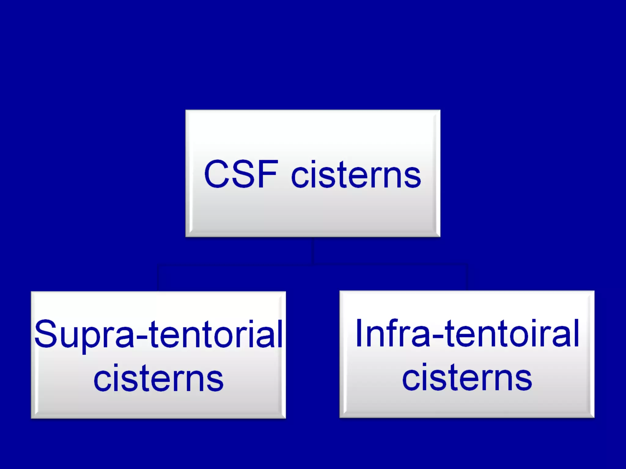 CSF cisterns | PPT