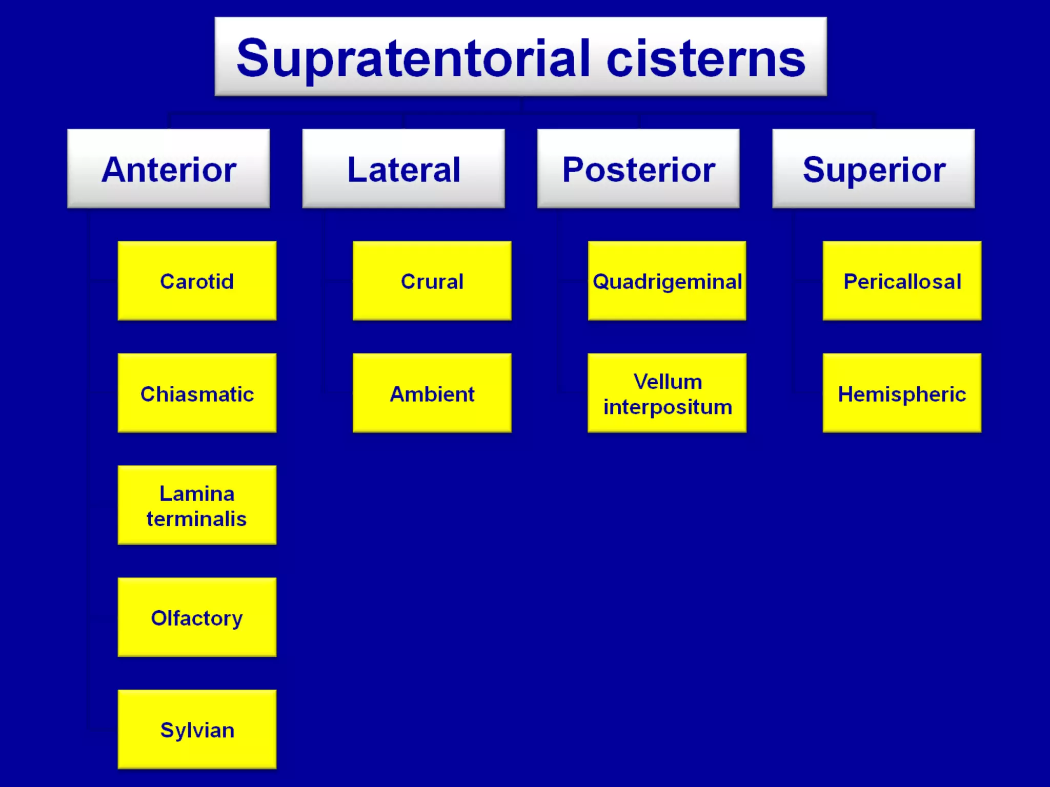 CSF cisterns | PPT