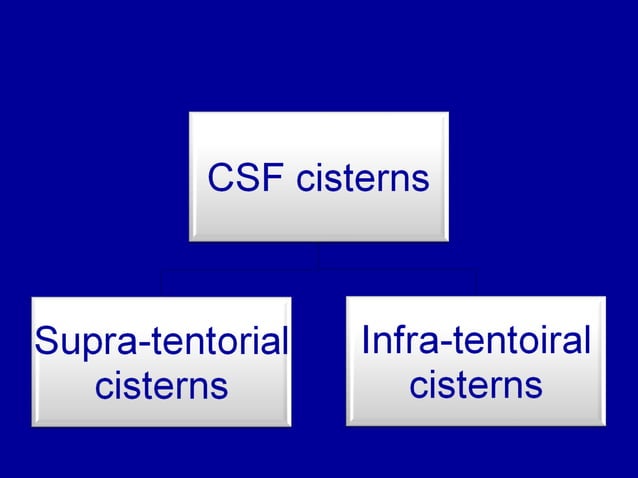 CSF cisterns | PPT