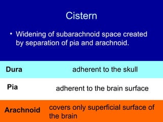 CSF cisterns | PPT