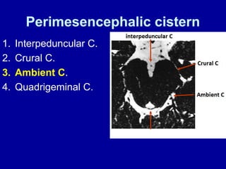 Perimesencephalic Cistern