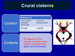 CSF cisterns | PPT