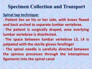 CSF Examination | PPTX