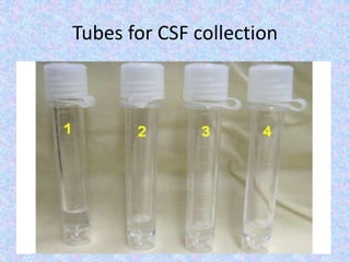 CSF Examination | PPT