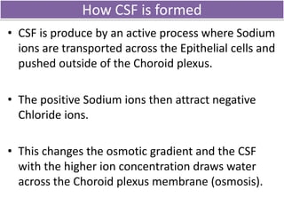 CSF examination | PPTX