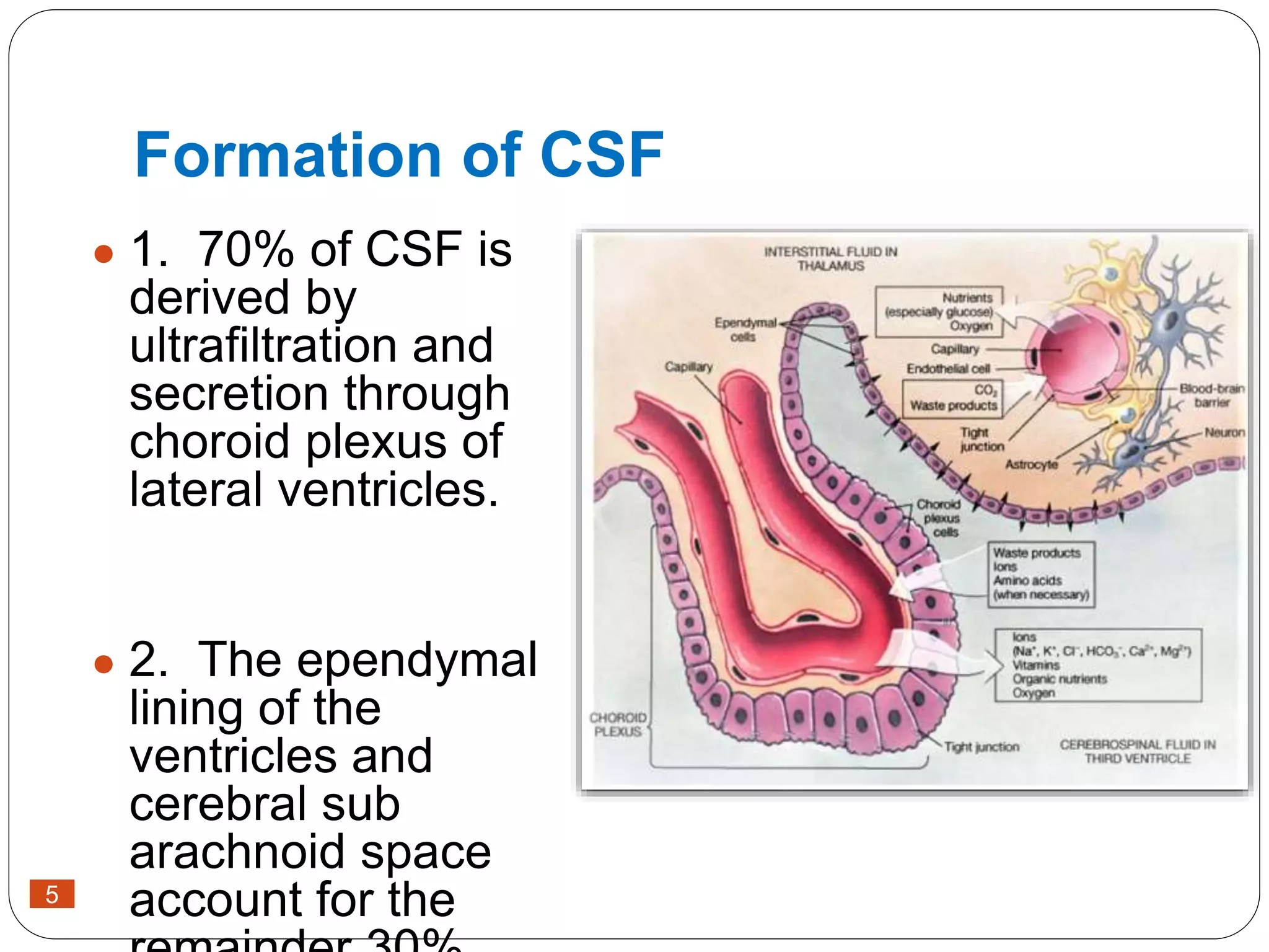 CSF EXAMINATION.pptx