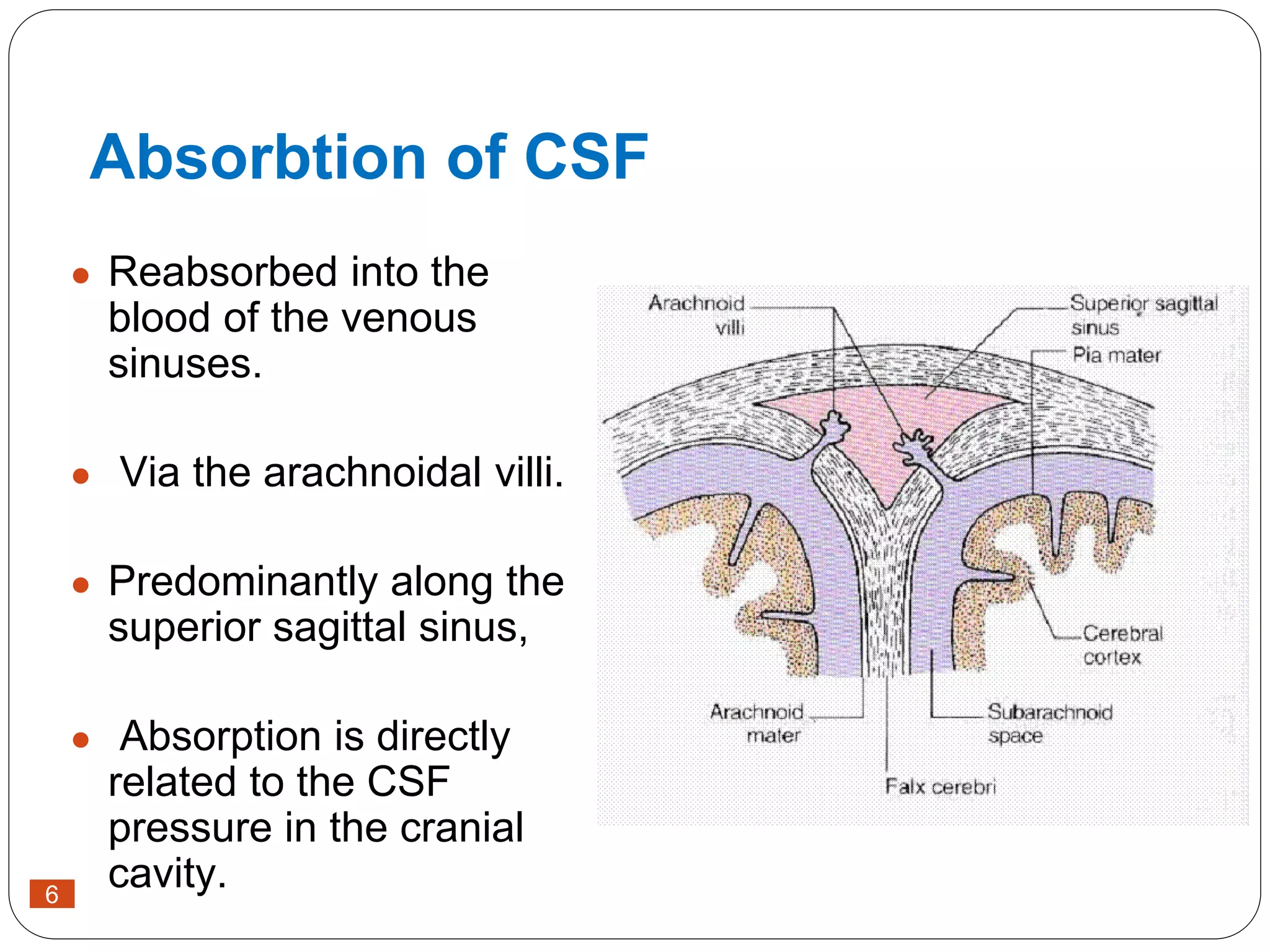 CSF EXAMINATION.pptx