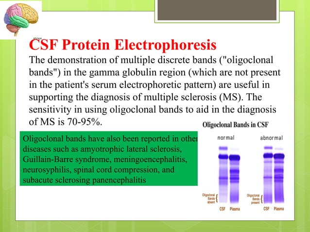 CSF EXAMINATION presentation for pathology | PPT