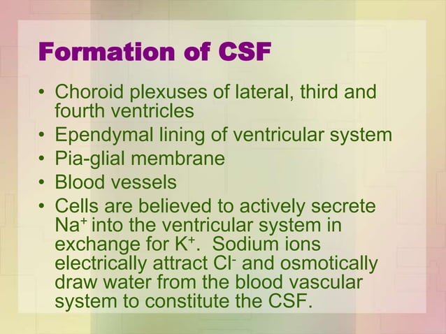 CSF. Anaesthesia | PPT