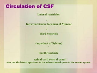 Csf Circulation Ppt