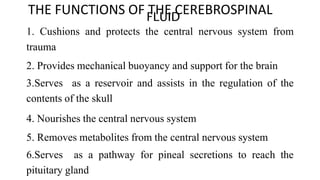 cerebrospinal fluid .pptx