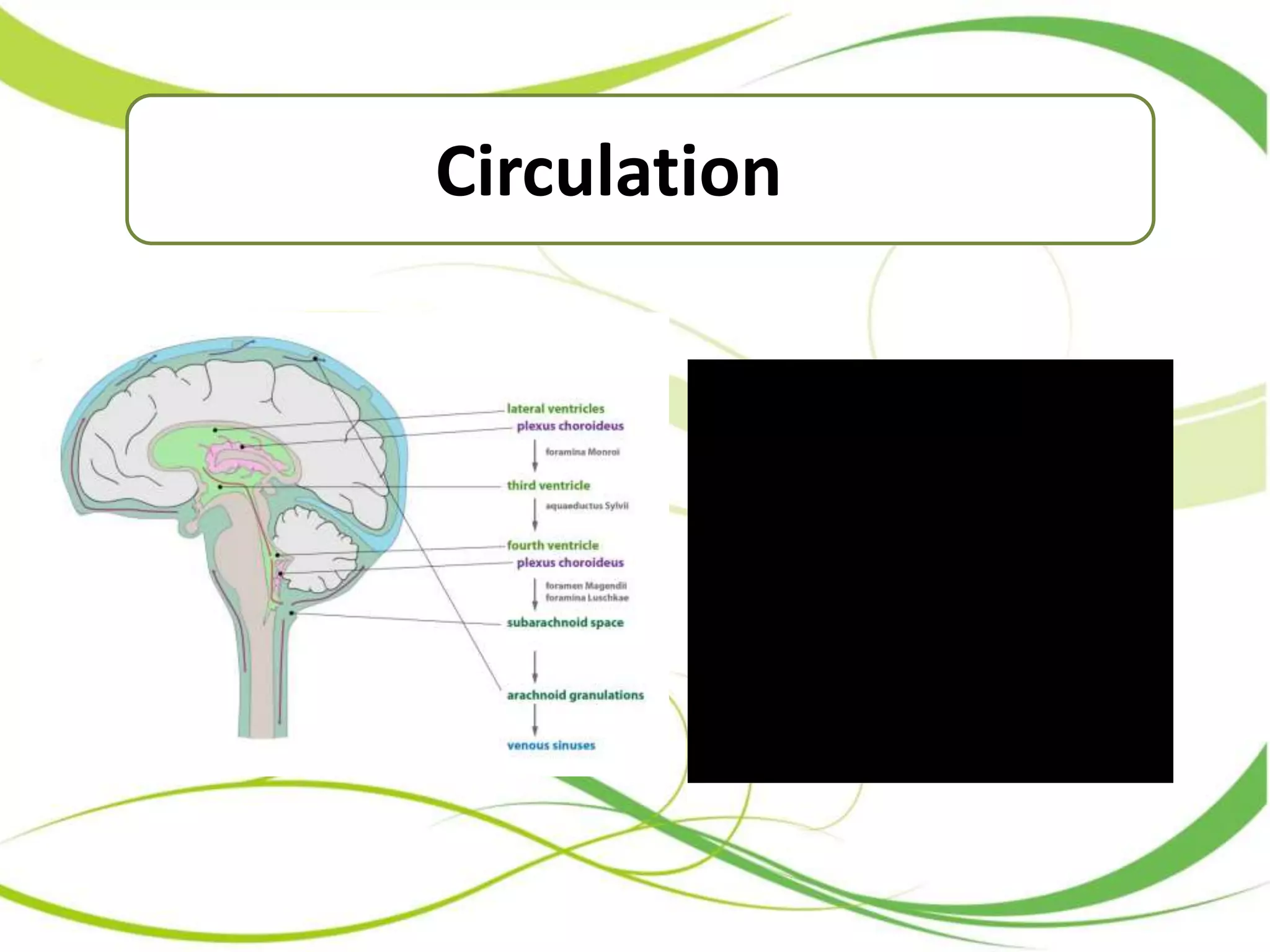 Csf flow study | PPTX