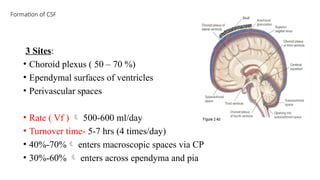 CSF formation and pathophysiology of Brain edema | PPTX