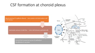 CSF formation and pathophysiology of Brain edema | PPTX