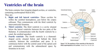 Cerebrospinal Fluid formation and circulation.pptx