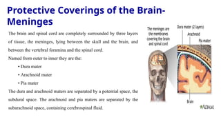 Cerebrospinal Fluid formation and circulation.pptx
