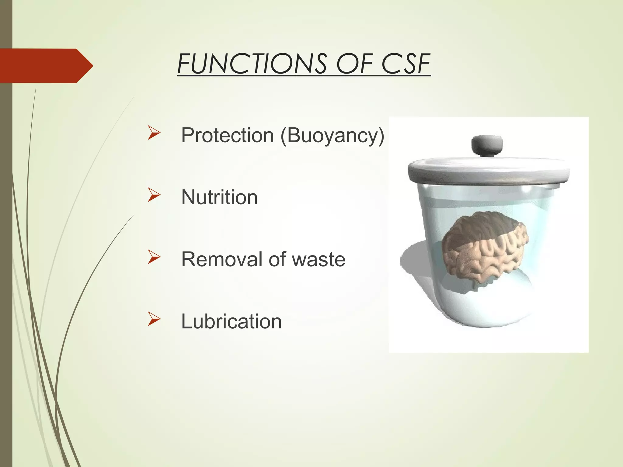 CSF Examination | PPT