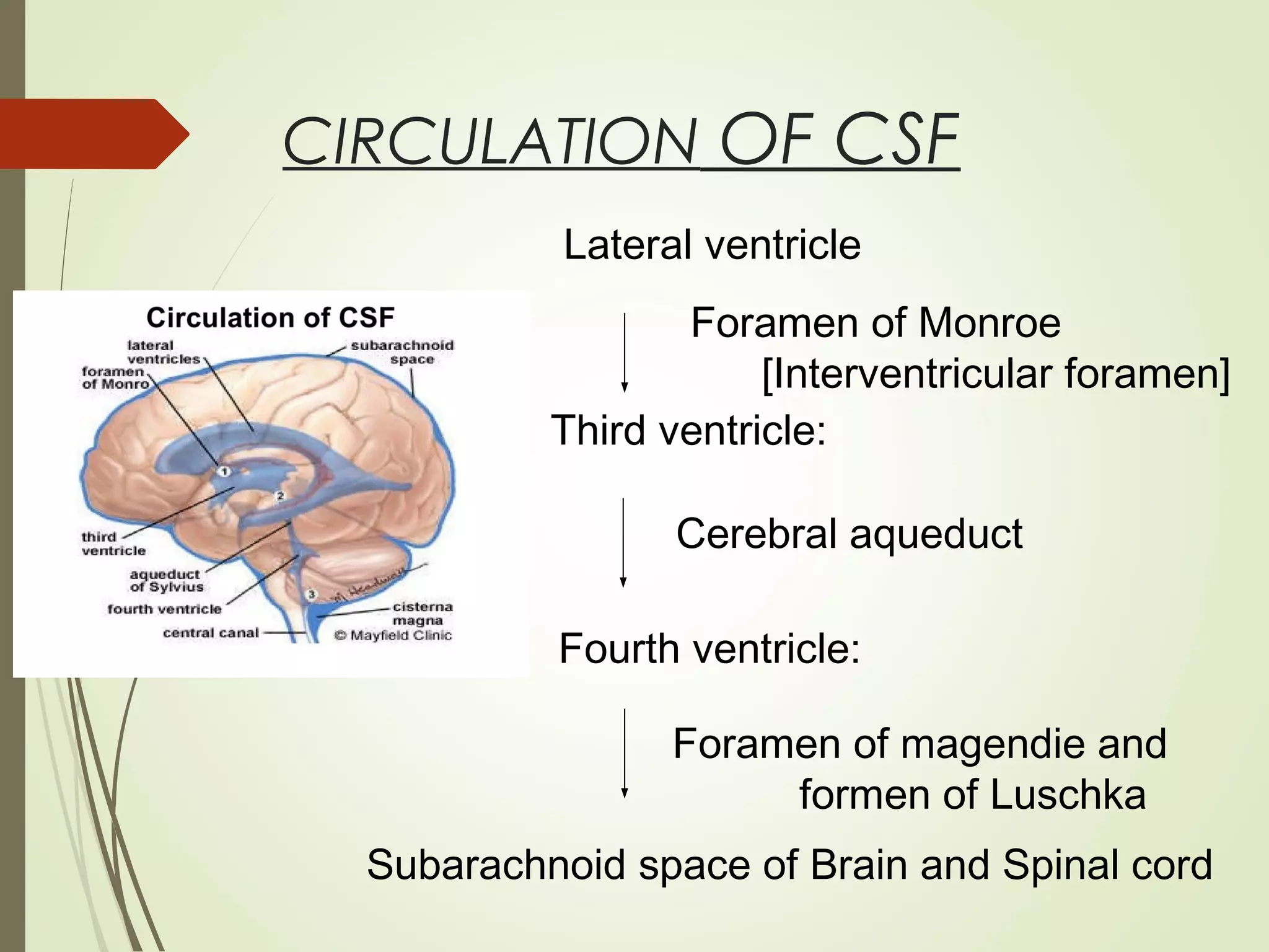 CSF Examination | PPT