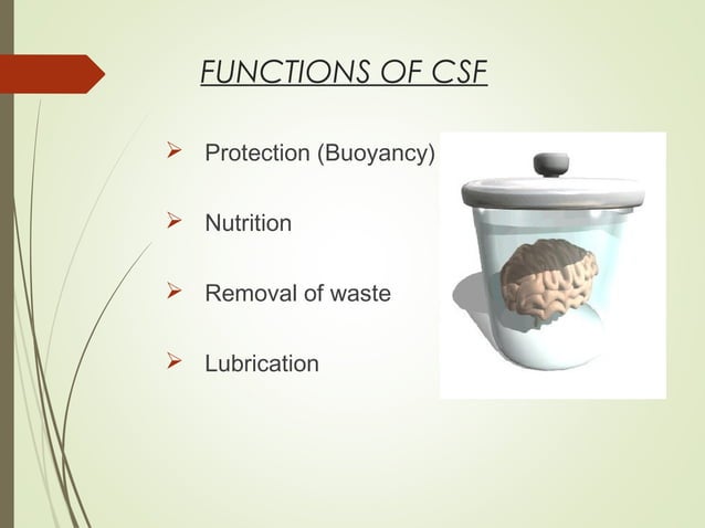 CSF Examination | PPT | Blood Disorders | Diseases and Conditions