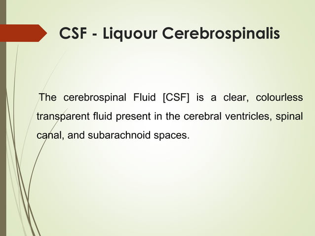 CSF Examination | PPT | Blood Disorders | Diseases and Conditions