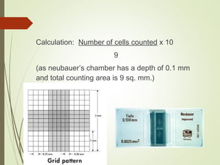 CSF Examination | PPT
