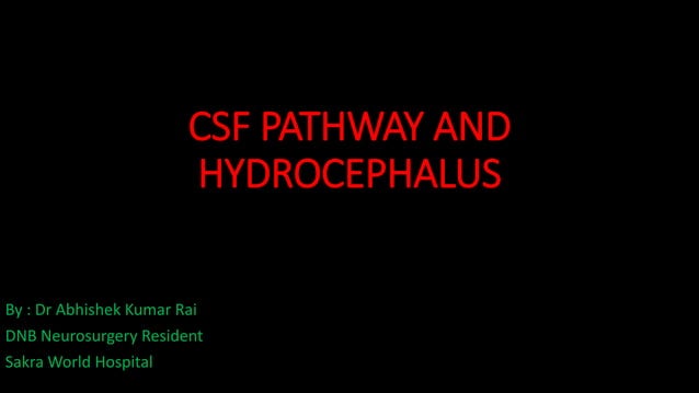 Csf pathway and hydrocephalus | PPTX | Brain and Nervous System ...