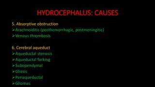 Csf pathway and hydrocephalus | PPTX