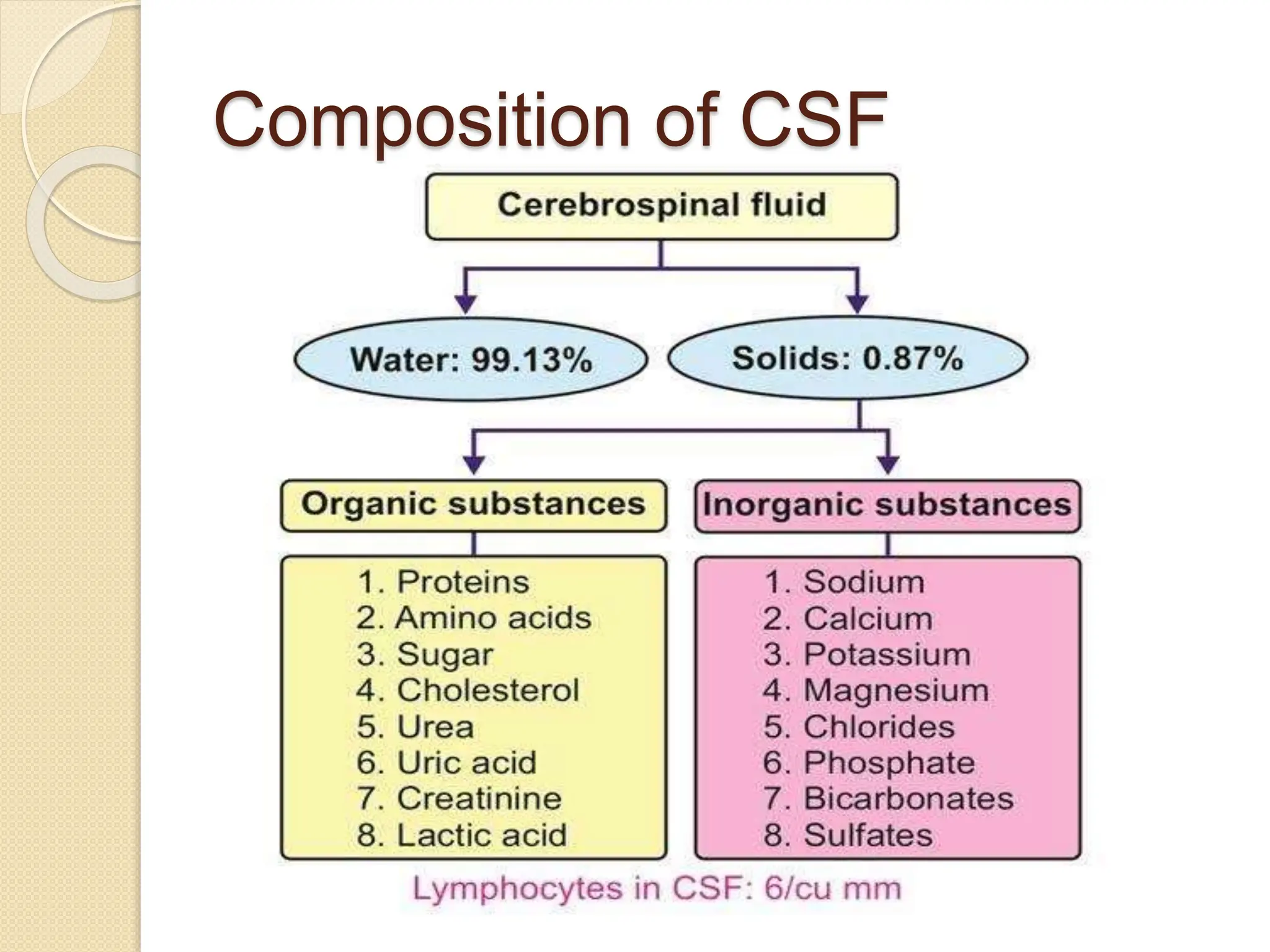 C S F PHYSIOLOGY AND CIRCULATION.pptx