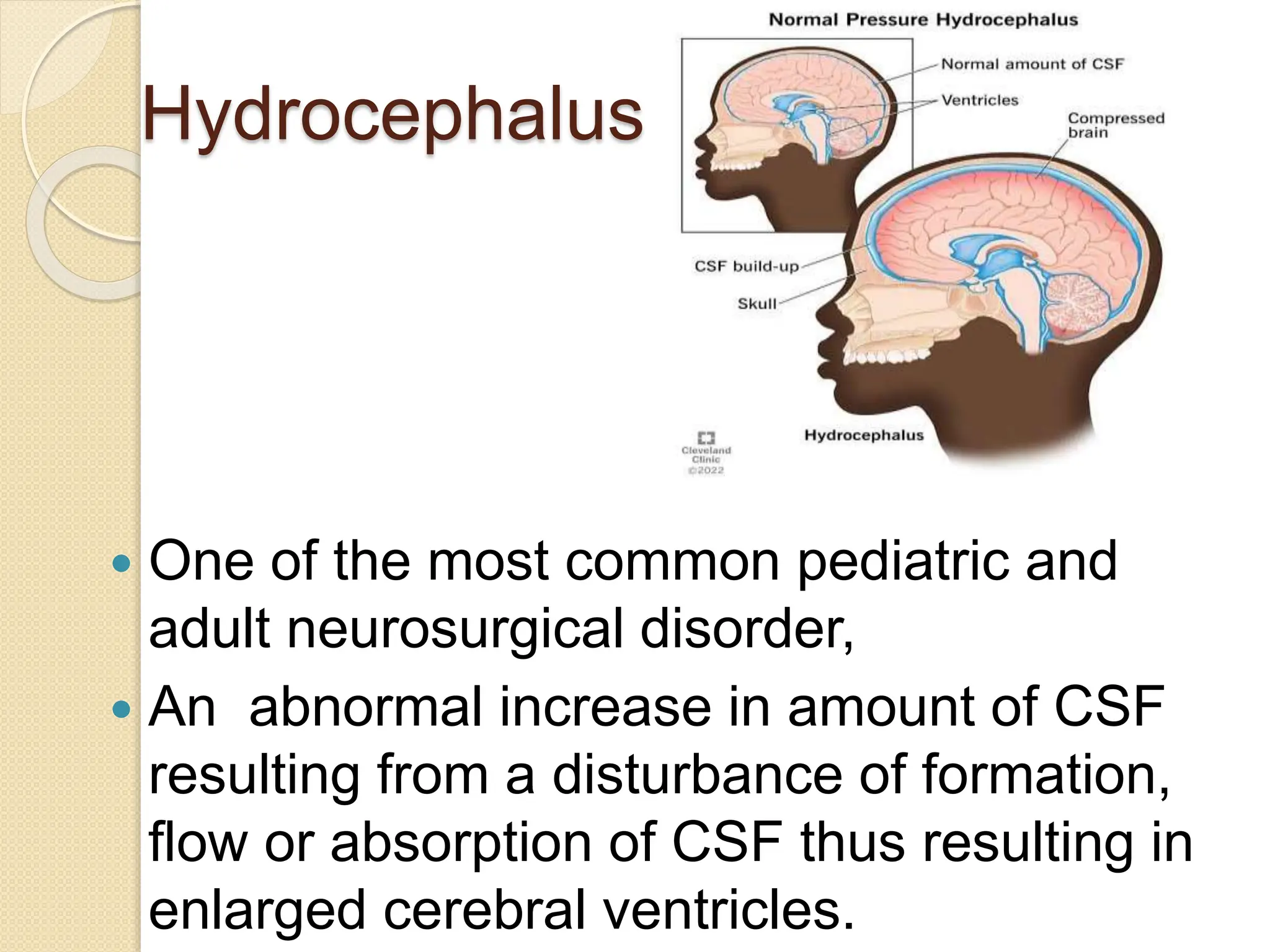 C S F PHYSIOLOGY AND CIRCULATION.pptx