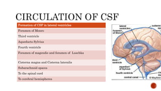 CSF cerebrospinal fluid examination Mlt students | PPTX