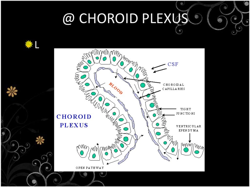 PHYSIOLOGY OF CSF PRODUCTION AND CIRCULATION, ALTERATIONS IN VARIOUS