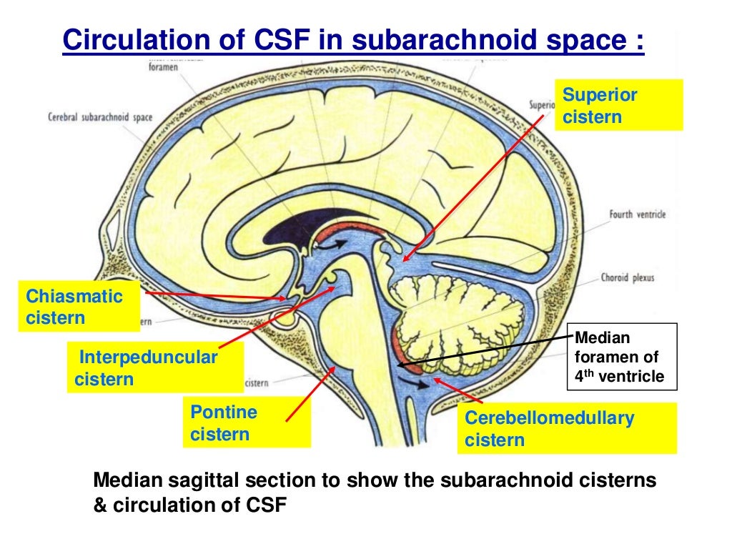 PHYSIOLOGY OF CSF PRODUCTION AND CIRCULATION, ALTERATIONS IN VARIOUS