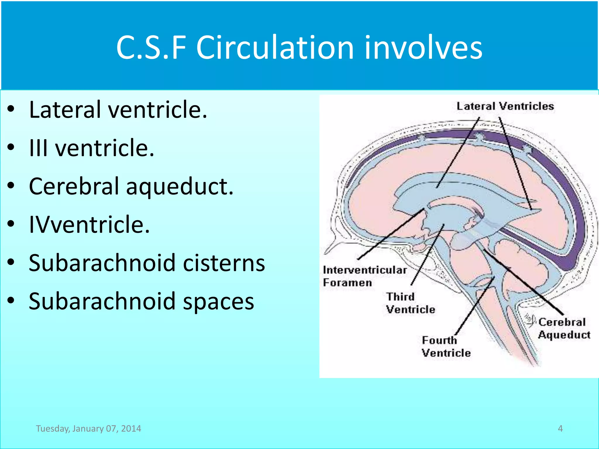 Csf production,circulation & absorption | PPTX