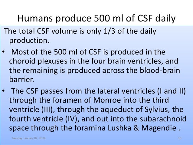 Csf production,circulation & absorption