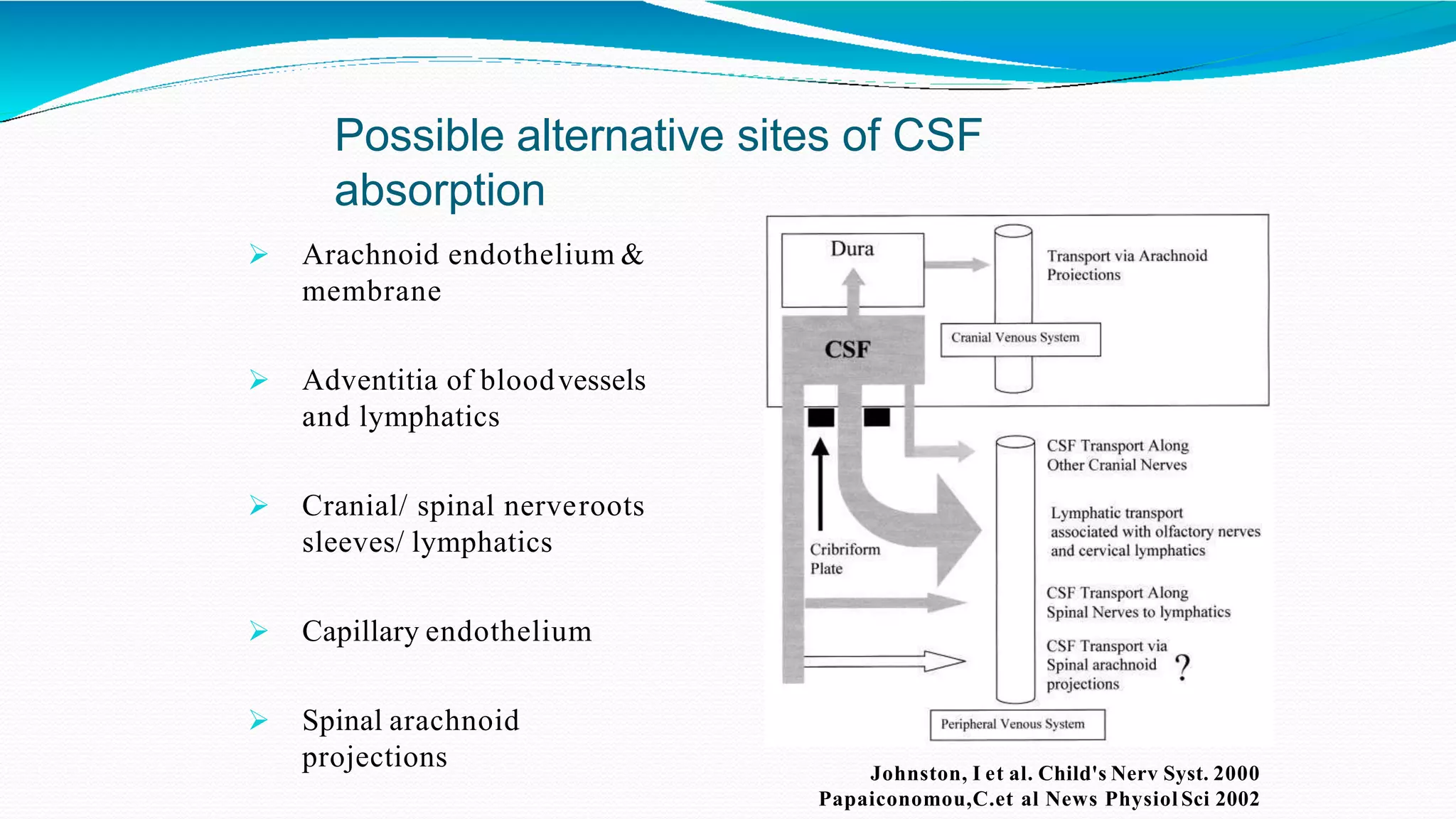 CSF Production, Dynamics and Physiology | PPTX