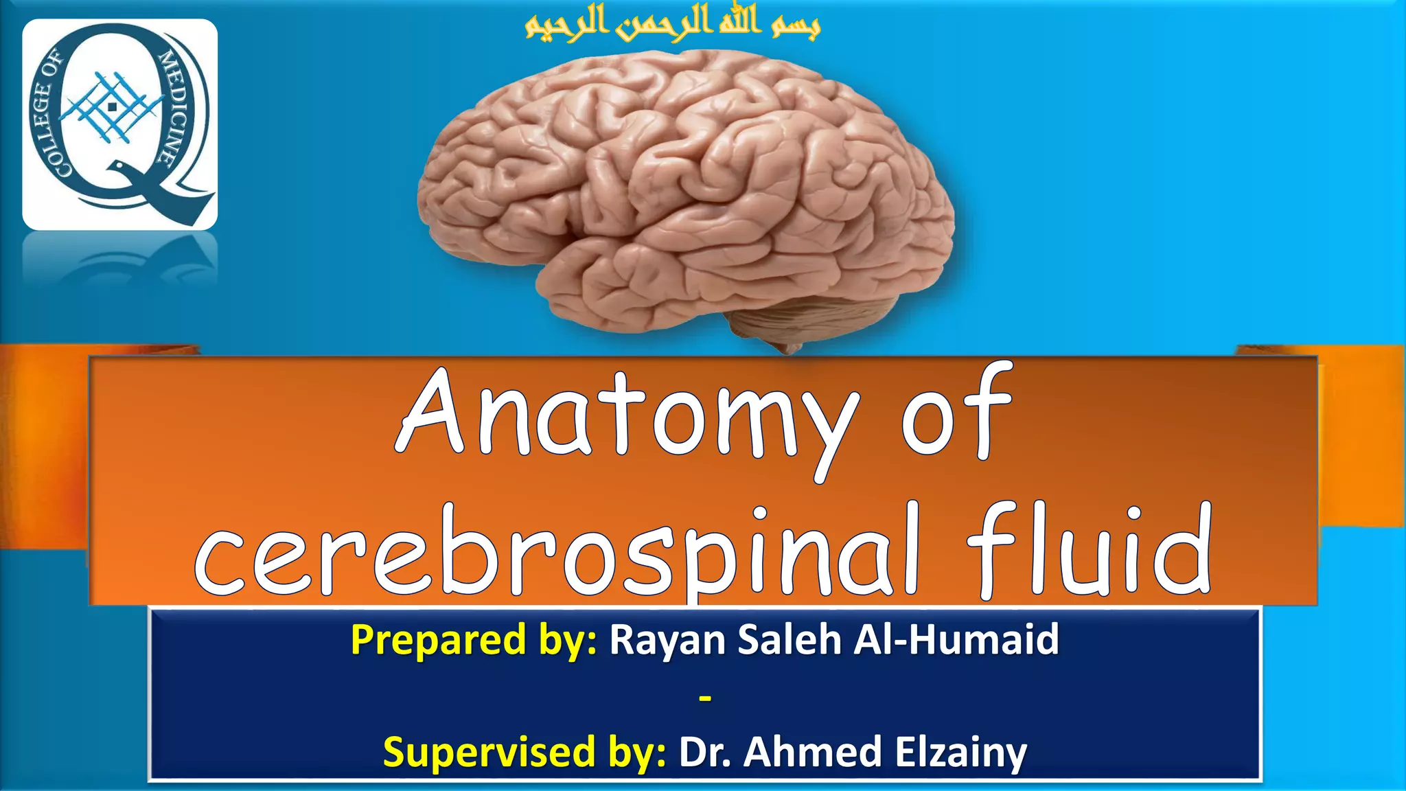 Cerebrospinal fluid (CSF) production, circulation and absorption | PDF