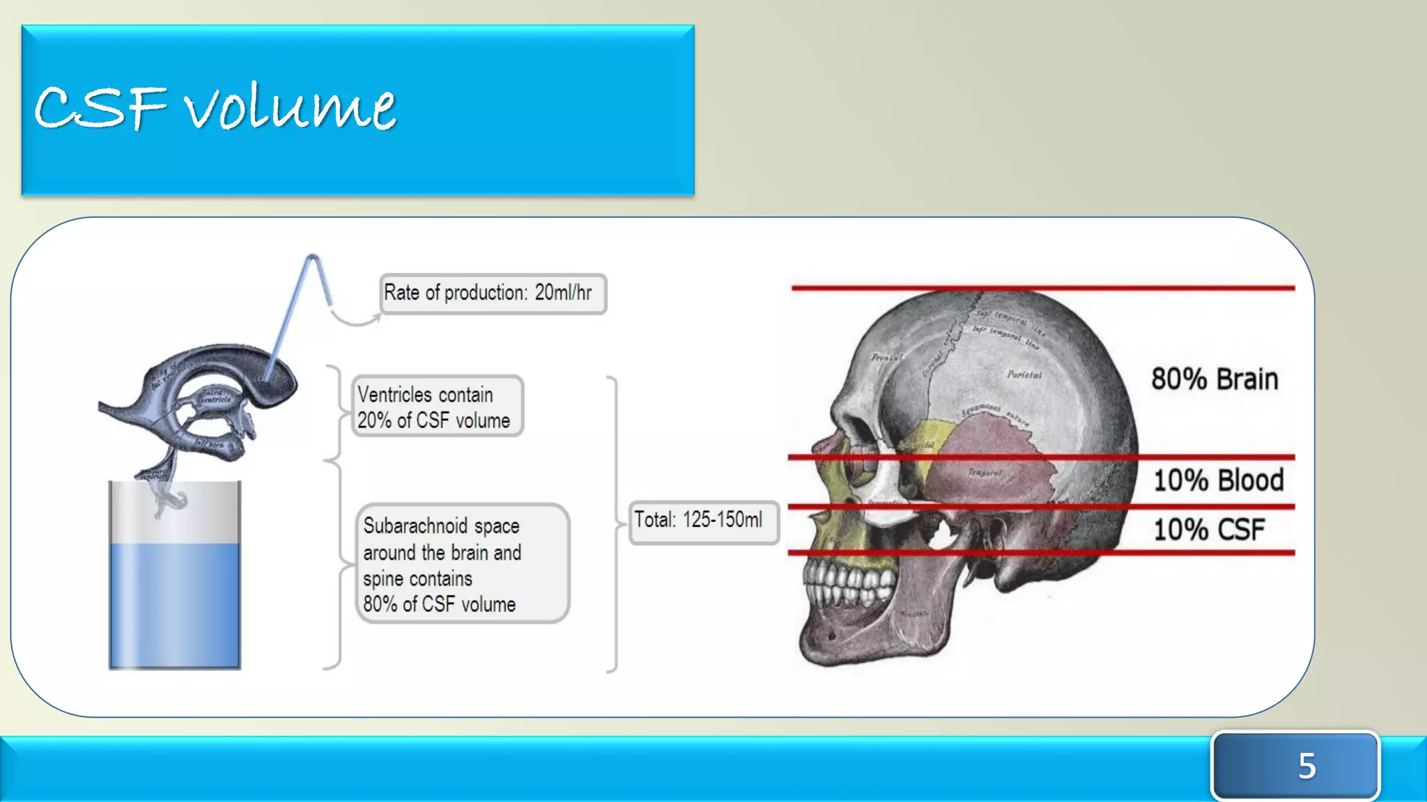 Cerebrospinal fluid (CSF) production, circulation and absorption | PDF