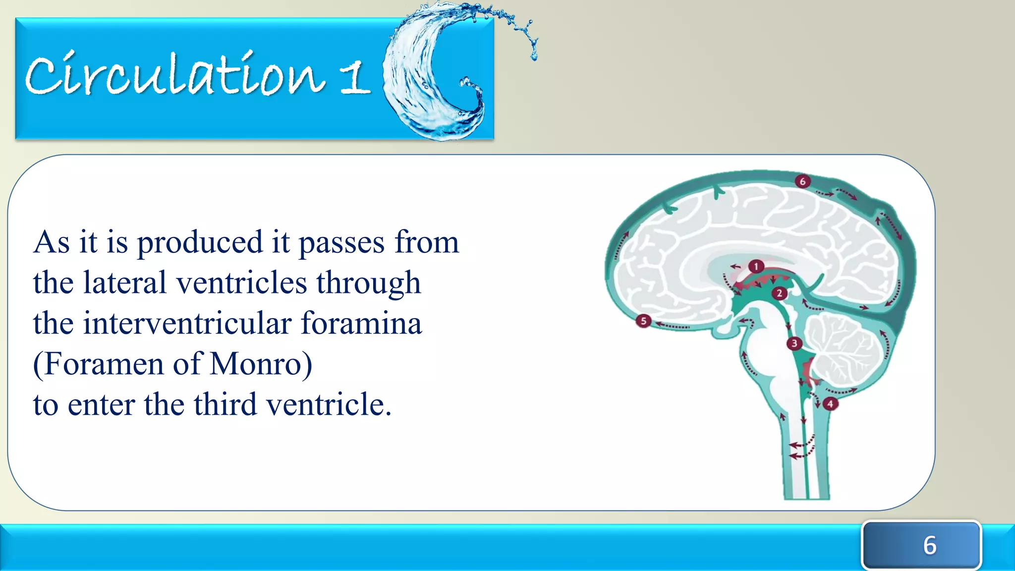 Cerebrospinal fluid (CSF) production, circulation and absorption | PDF