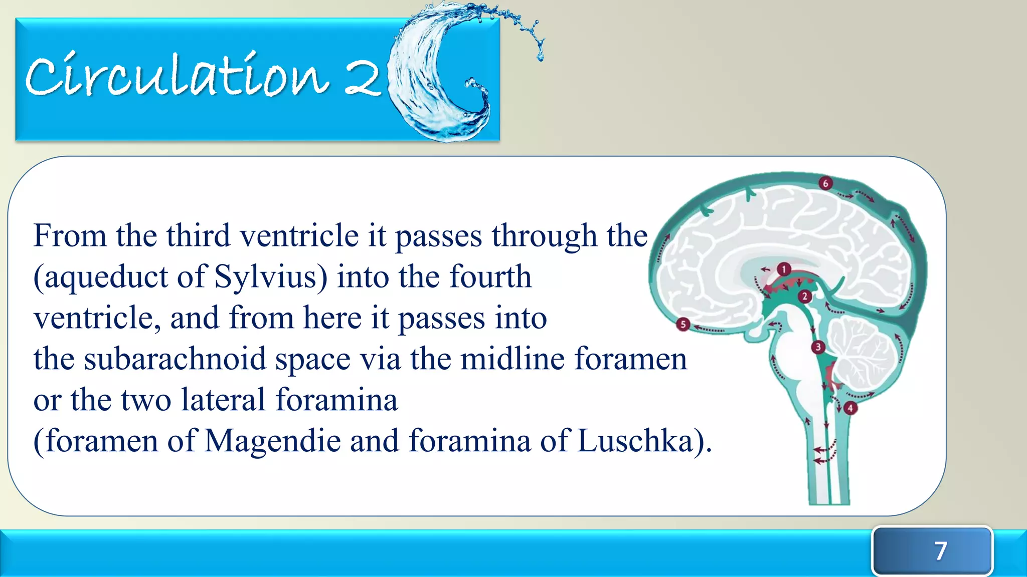 Cerebrospinal fluid (CSF) production, circulation and absorption | PDF