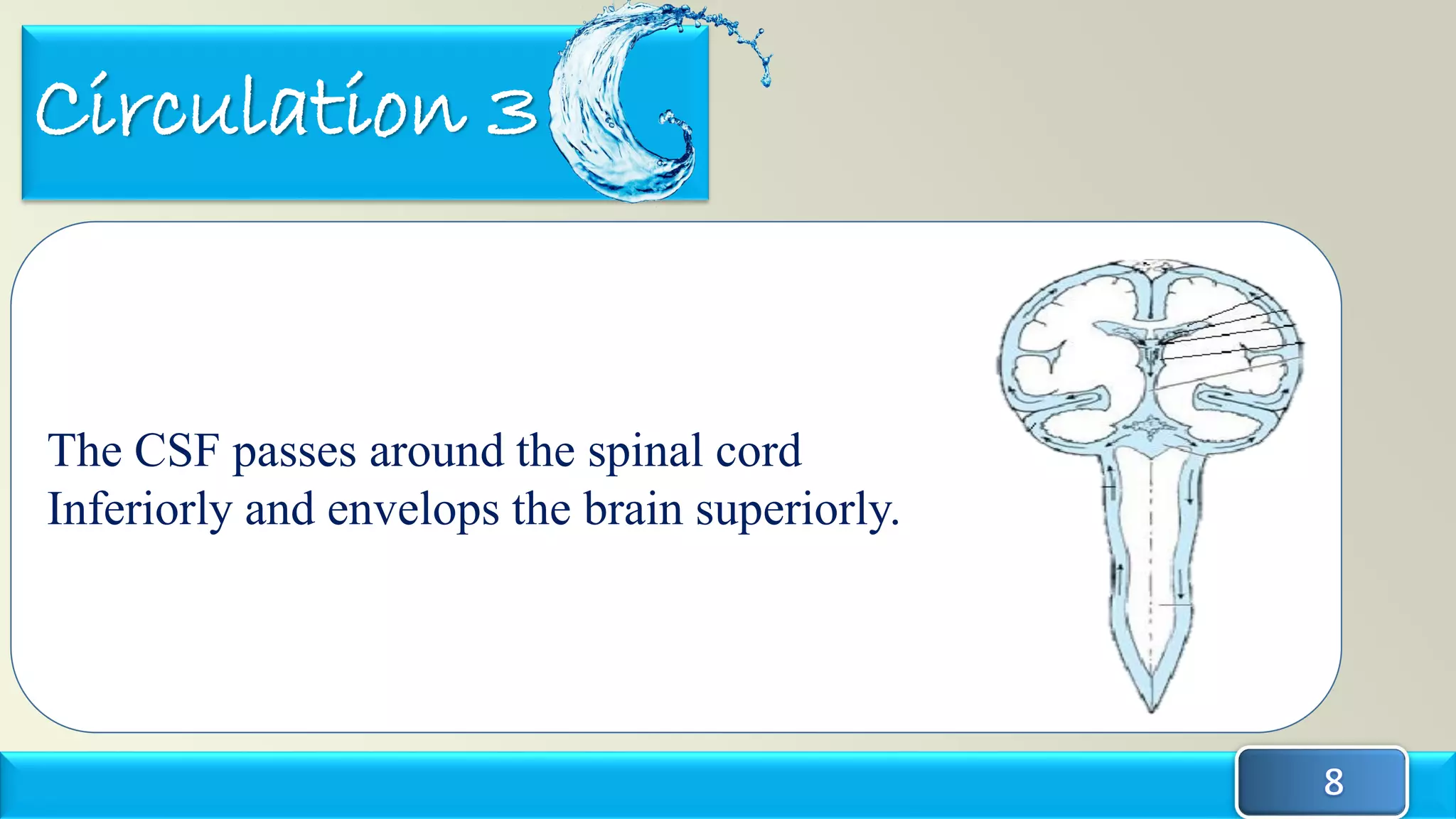 Cerebrospinal fluid (CSF) production, circulation and absorption | PDF